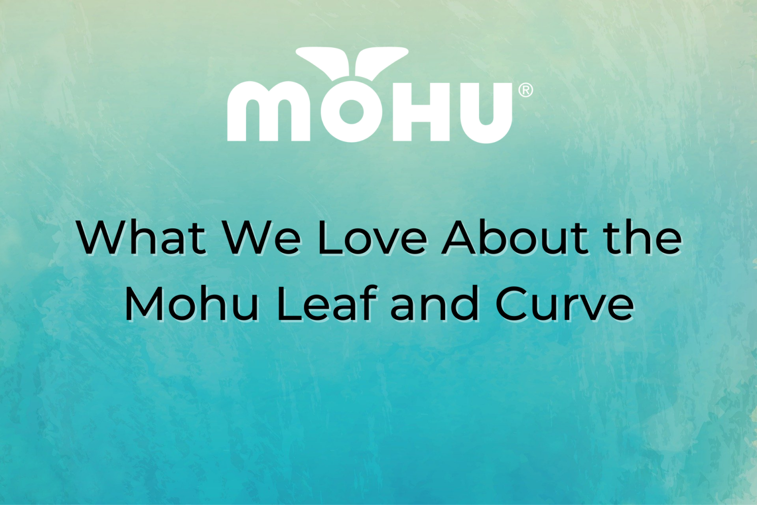 What We Love About the Mohu Leaf and Curve - Go Mohu